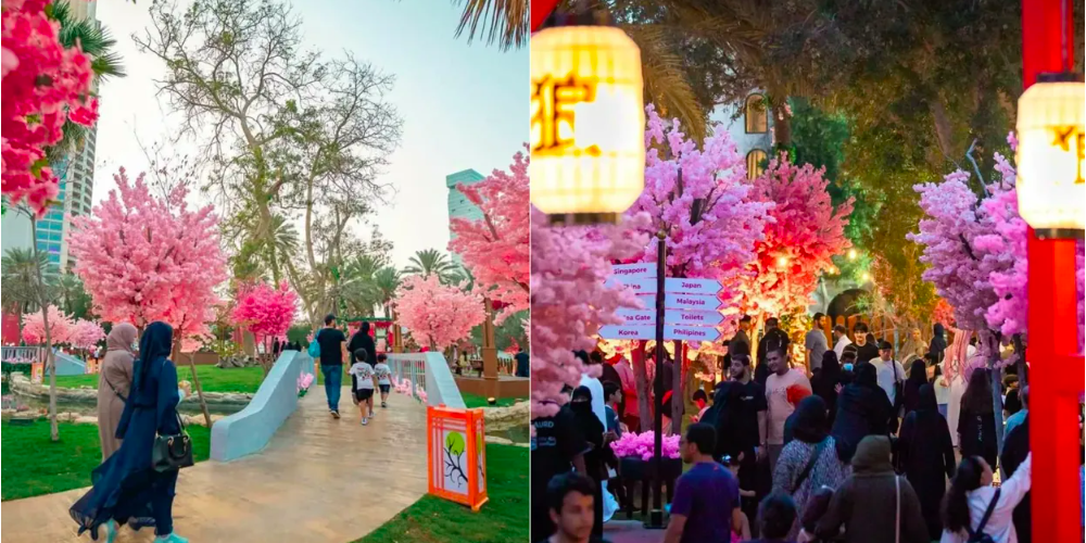 Sakura garden in Jeddah blooms into a captivati | OMNESmedia.com