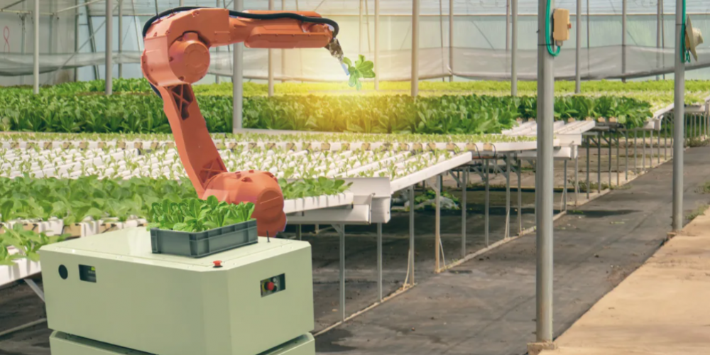 Egyptian farmers to protect crops using smart a | OMNESmedia.com